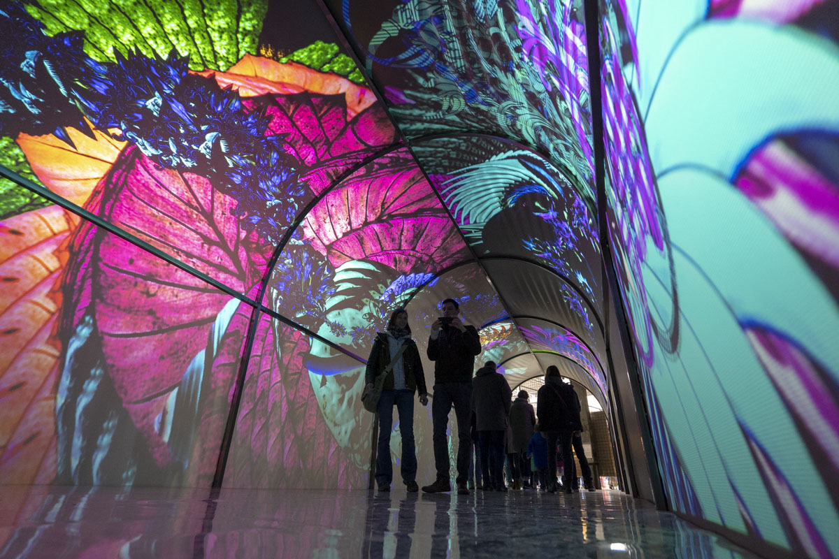 David Gumbs | Art - Video - Interactive - Drawing